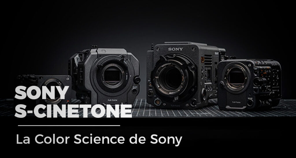 La Color Science SONY S-Cinetone (Sony Fx3, Fx6 et Fx9) - Visual Sequence